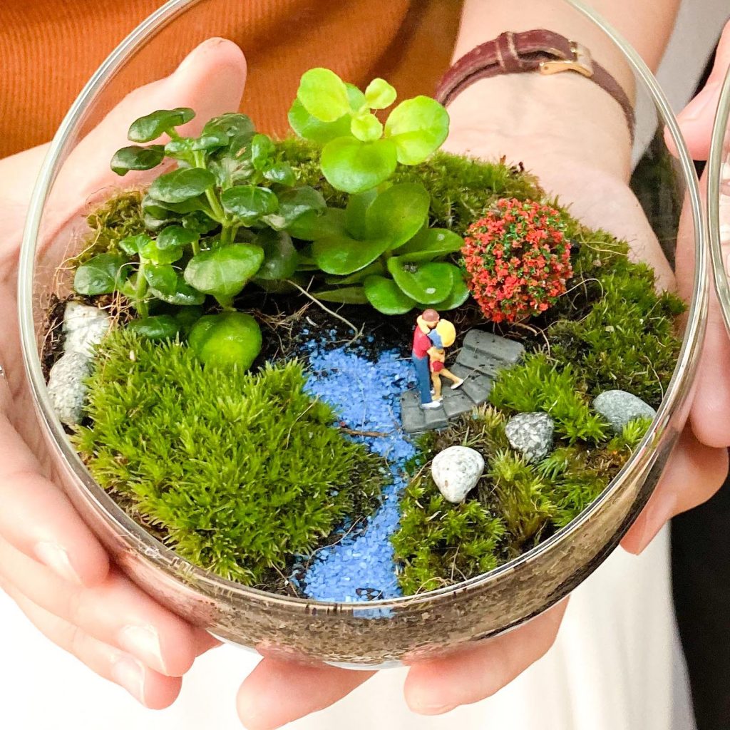 Open mossarium workshop $55/pax – Craftsforgreen