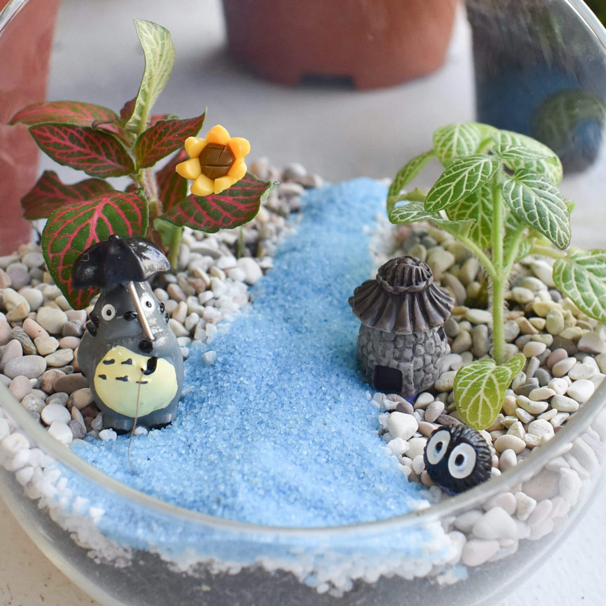 Care tips – Fittonia terrarium – Craftsforgreen